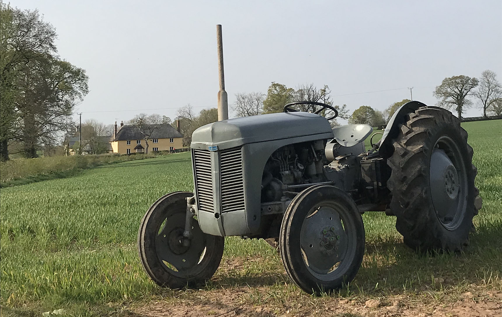 The Little Grey Fergie | Footman James Insurance